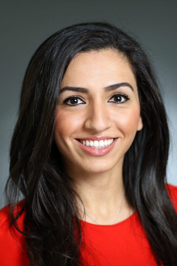 Executive Committee at The ArmenianWBA